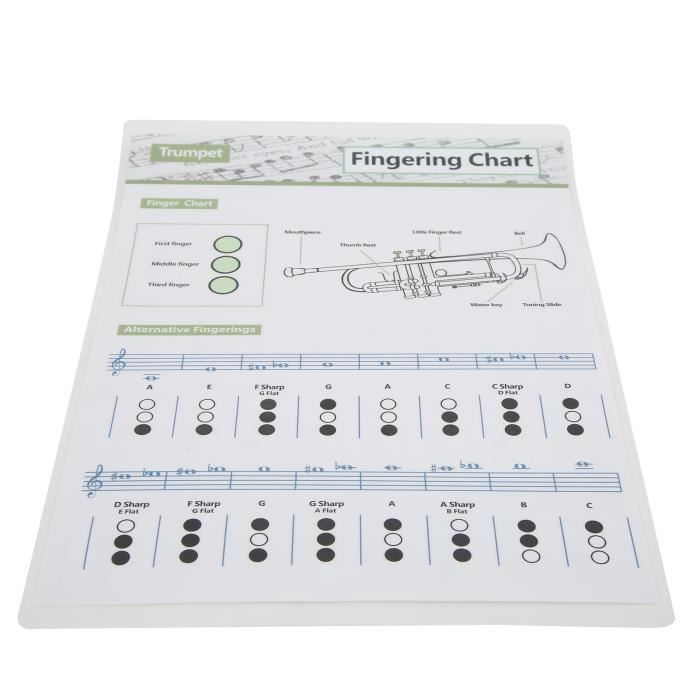 Dilwe référence de note de trompette Trompette Chord Chart Doigté Note ...