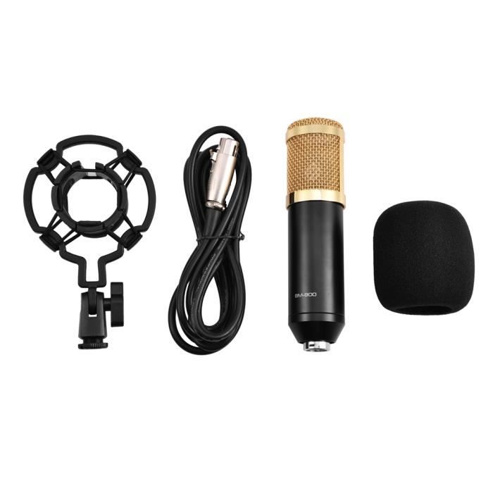 Micro De Studio Microphone D'Enregistrement De Studio De Microphone À ...