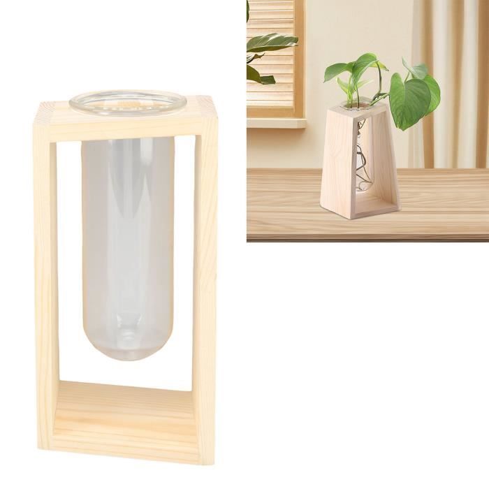 BEA terrariums de plantes en verre de bureau Terrarium de plante de ...