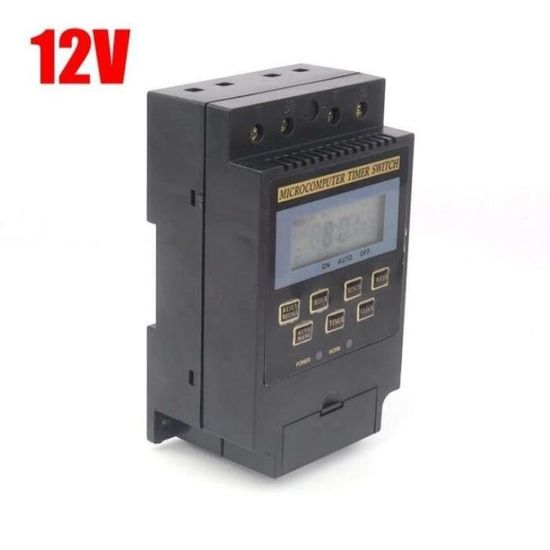 WE20179-Minuterie de contrôle par micro ordinateur 12V 110V 220V avec ...