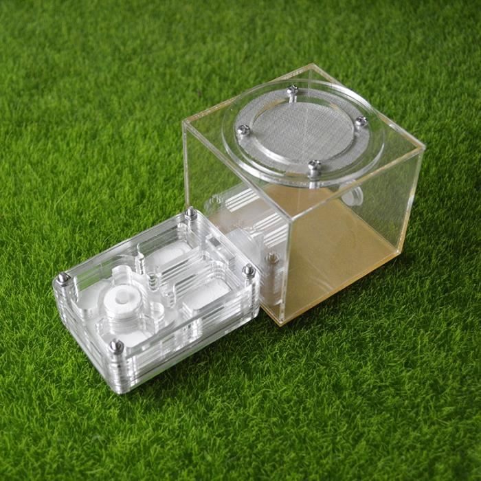 Valeur Style-E Fourmi en plâtre acrylique pour animaux de compagnie ...