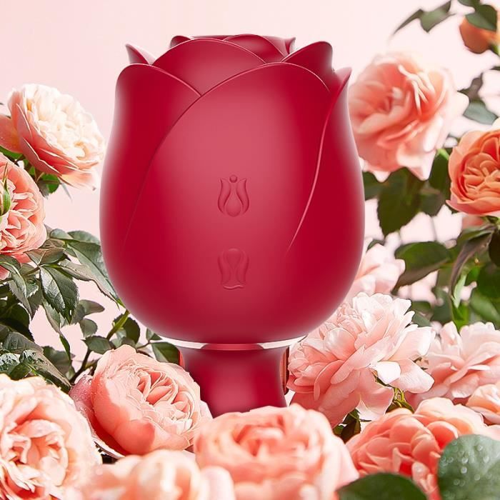 Vibrateur Clitoridien pour Les Femmes Rose Vibrateur portable de ...
