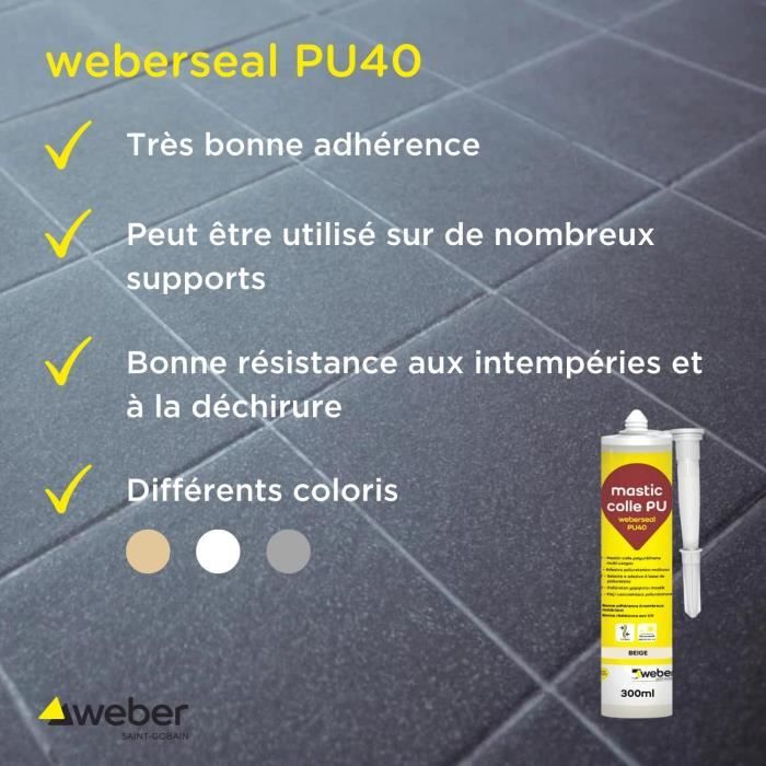 Mastic-Colle Base Pu, Blanc, 300Ml, Seal Pu40 (Lot De 2) - Cdiscount ...