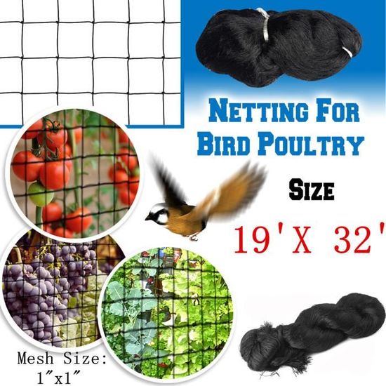 6x10 m Noir Nylon Anti Oiseaux Net Filet De Protection Anti-oiseaux Filet D'élevage - Cdiscount ...