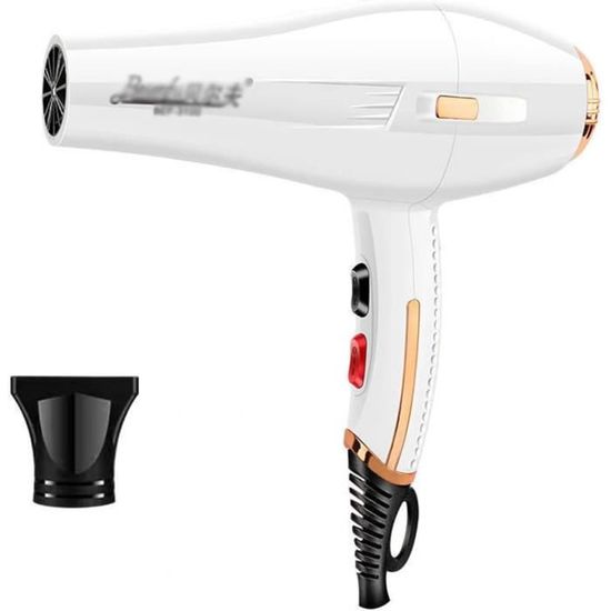 Mini Sèche-cheveux 2200W sèche-cheveux professionnel ionique Sèche ...