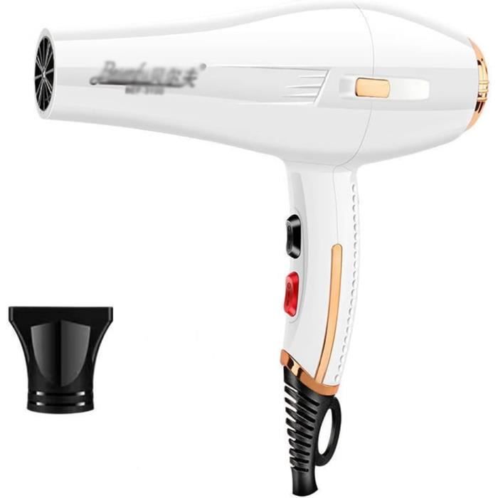 Mini Sèche-cheveux 2200W sèche-cheveux professionnel ionique Sèche ...