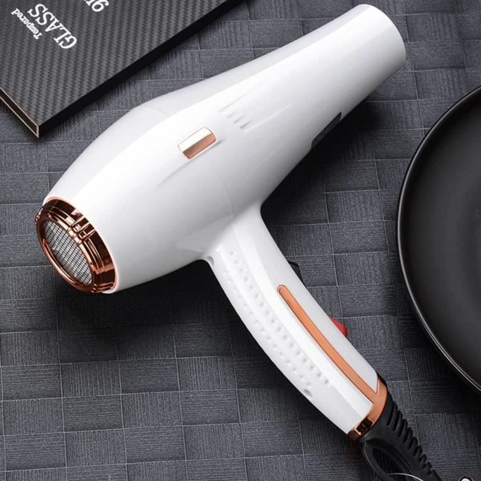 Mini Sèche-cheveux 2200W sèche-cheveux professionnel ionique Sèche ...