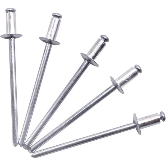 Lot De 1500 Rivets Aveugles 3,0 X 6 Mm, Tête Bombée Ouverte, Din 7337 ...