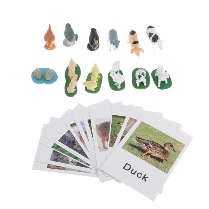 Jouet Matériel Montessori - Modèle de Figurines D'animaux de Ferme avec ...