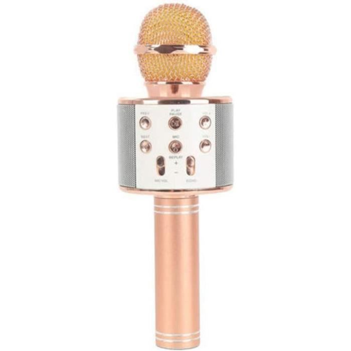 Professionnel Bluetooth Draadloze Microfoon Luidspreker Microfoon de ...