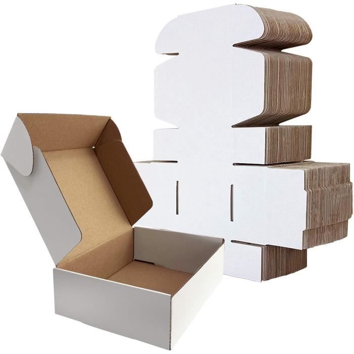RLAVBL Lot de 25 Boites en Carton 17.8x12.7x5.1 cm, Carton Emballage ...