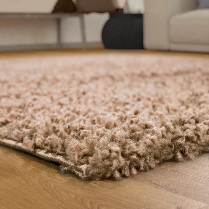 Tapis De Salon Poil Long Shaggy Doux Couleurs Unies Moderne Design Monochrome, Couleur: Beige ...