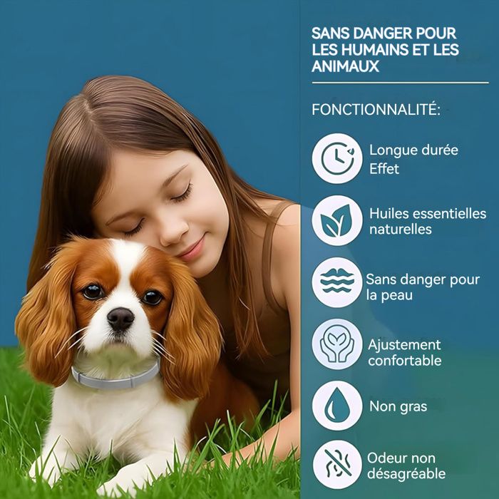 Collier anti-puces pour chien - T'CHOUPIN - collier antiparasitaire ...