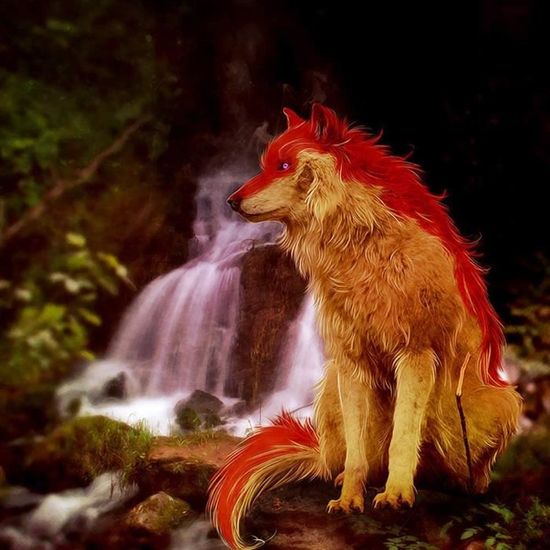 5D Diamond Painting Complet Broderie par Numéros, Loup Coyotes Jaune ...