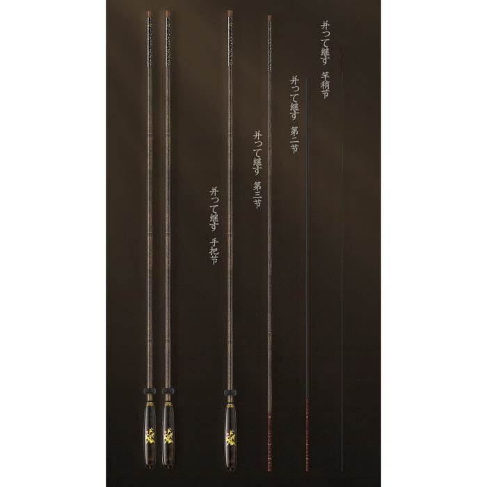 Enfichable Hera 5.4-Canne À Pêche De Haute Qualité, Ultralégère Et ...