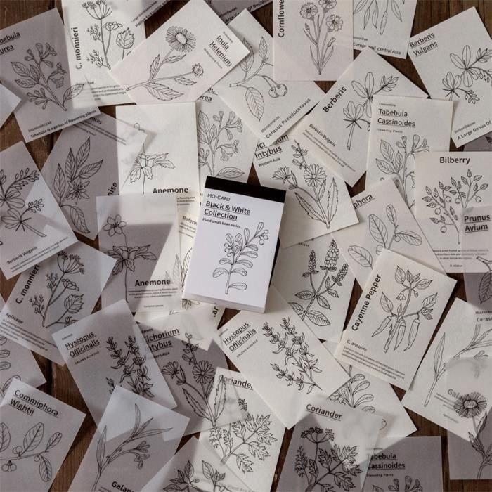 Bloc note,carte rétro Vintage avec plante pour décoration,papier à ...