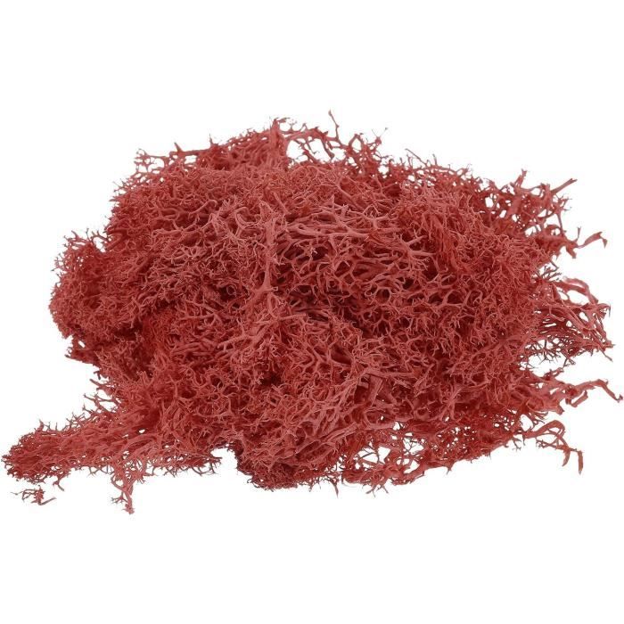 3,5 Oz Faux Mousse, Conservé Renne Mousse Artificiel Mousse Lichen ...