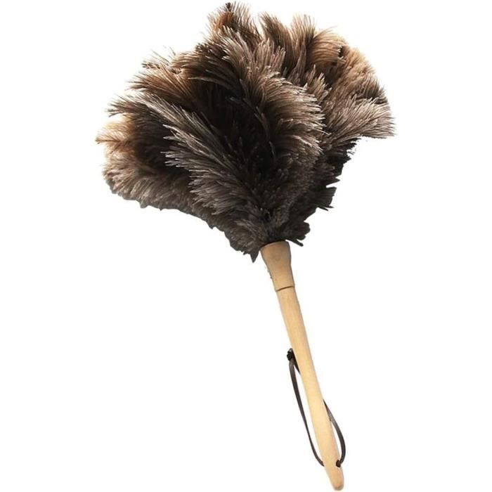 Plumeau, plumeau d'autruche Antistatique avec Manche en Bois Brosse de ...