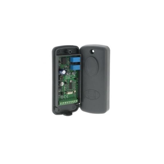 Récepteur bicanal - CAME - RE432M - Universel - 433,92 MHz - Extérieur - Cdiscount Bricolage