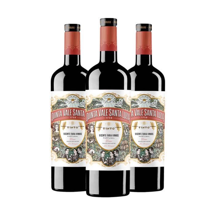 Pack 3 Quinta Vale Santa Luzia Douro Rouge 0,75L - La cave Cdiscount