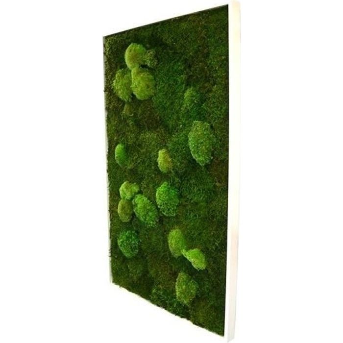 Tableau végétal mousse stabilisé BASIC - Rectangle XL 60x100 ...