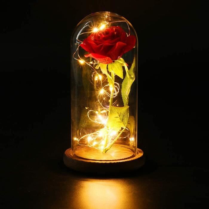 Rose eternelle sous cloche, rose enchantée inspiré par “rose belle et ...