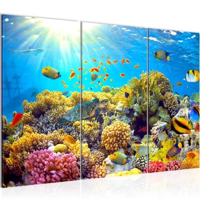 Runa art Tableau Décoration Murale Corail Sous-Marin 120x80 cm - 3 ...