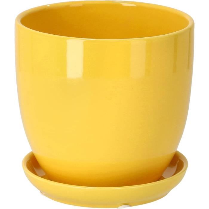 Pot De Fleurs En Céramique Pour Plantes - Diamètre : 20 Cm - Avec Bac D ...