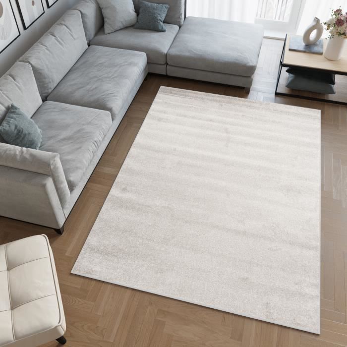 TAPISO Tapis Salon Poil Court FLORIDA Gris Clair Monochrome ...