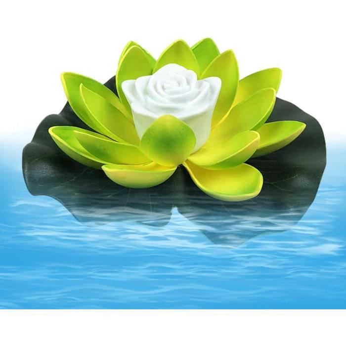 Bassin Lotus Flottant | 1-5 Pièces Fleurs Lotus Pour L'Extérieur | Eva ...