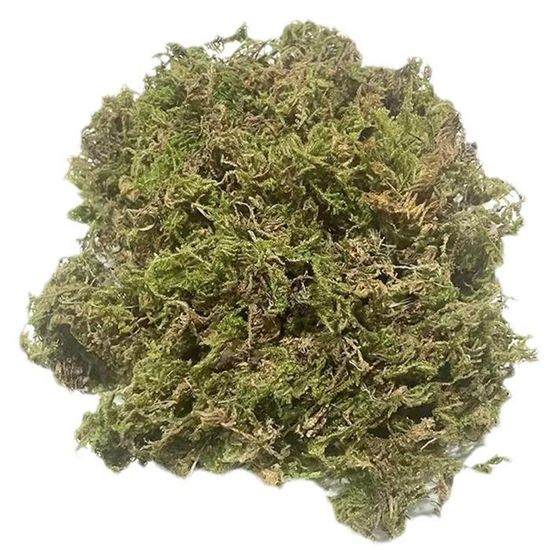 Mousse sèche pour le jardinage TD® 300g plantation mousse hydratante ...