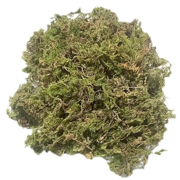 Mousse sèche pour le jardinage TD® 300g plantation mousse hydratante ...