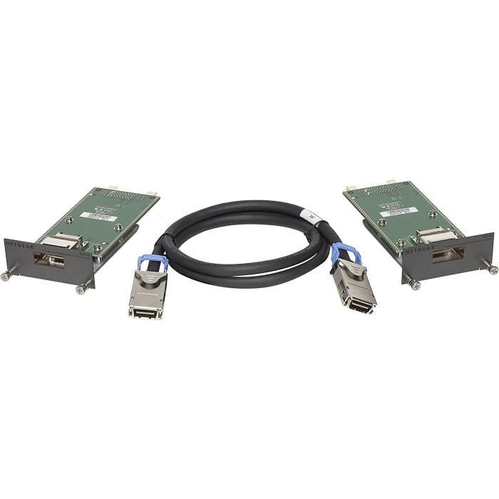 Netgear Prosafe AX742 24 Gigabit Stacking Kit Module d'Extension ...
