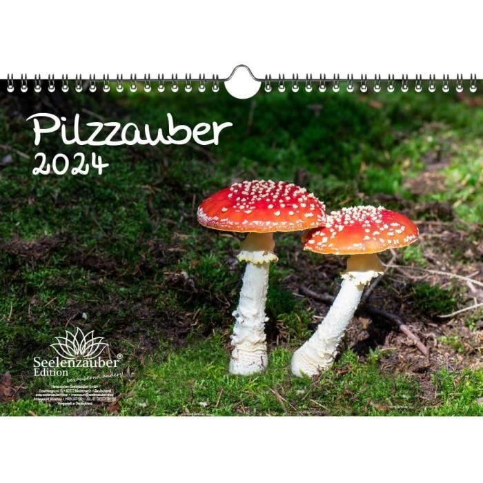 Pilzzauber Calendrier Format A4 Pour 2024 Champignons Forêt – Sorts D ...