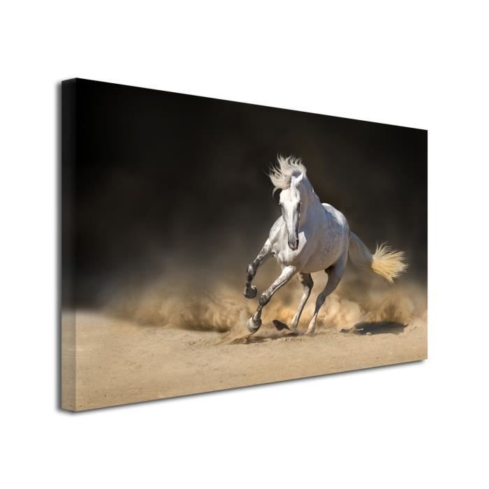 Tableau déco - DECLINA - Cheval blanc au galop - 150x100 cm - Coton ...