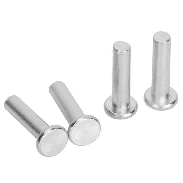 Rivet solide (M6*25)20Pcs Gb867 M6 Rivets En Aluminium Massif à Tête ...