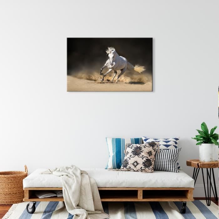 Tableau déco - DECLINA - Cheval blanc au galop - 150x100 cm - Coton ...