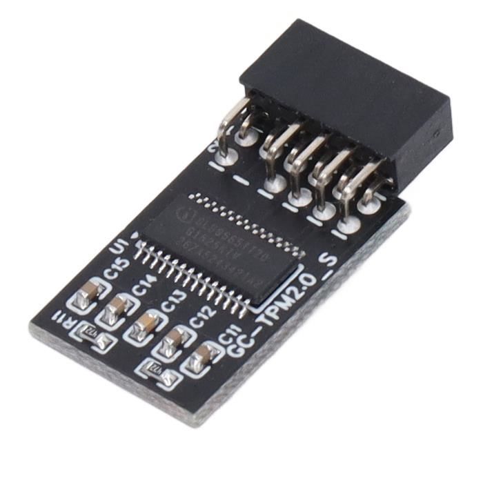 Module LPC TPM Module TPM 2.0 LPC SPI 12 Broches, Module de sécurité de ...