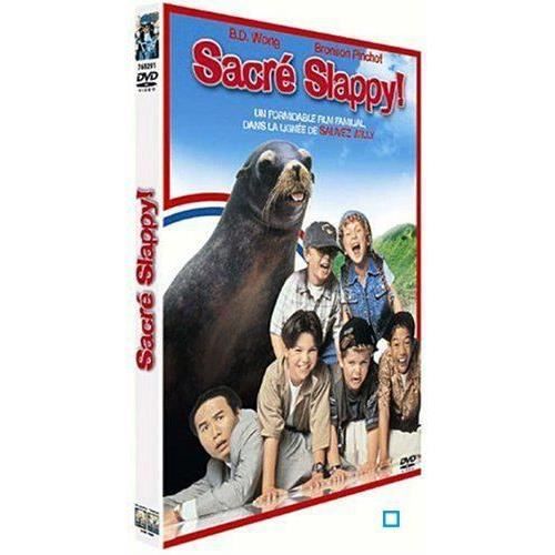 DVD Sacre slappy - Cdiscount DVD