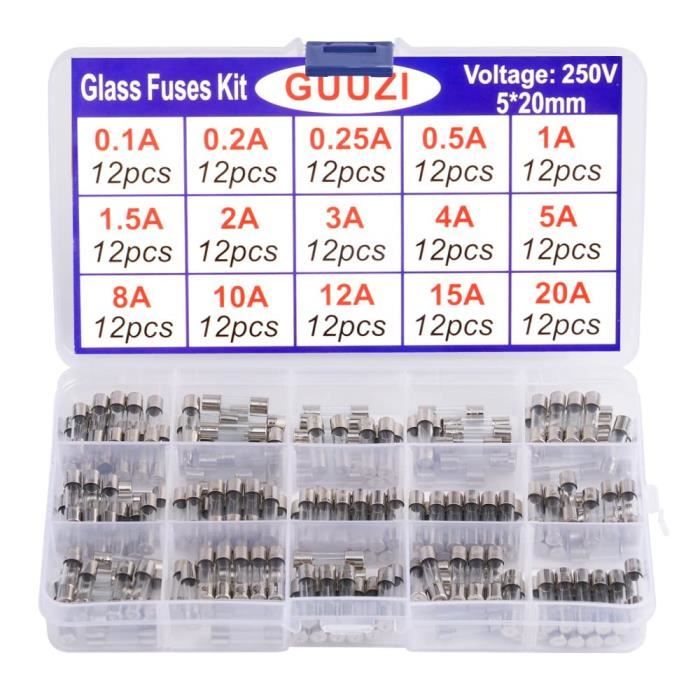 GUUZI 15 Valeurs 180pcs 5×20mm 250V Kit d'assortiment de Fusibles en Verre à Fusion Rapide 0,1A ...