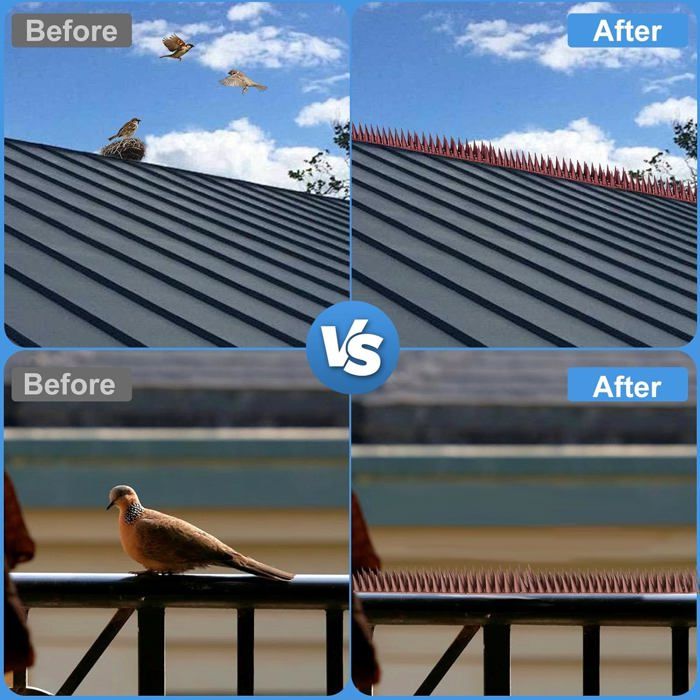 12 Pièces Pic Anti Oiseaux, Plastique Pic Anti Pigeon, Répulsif pour ...