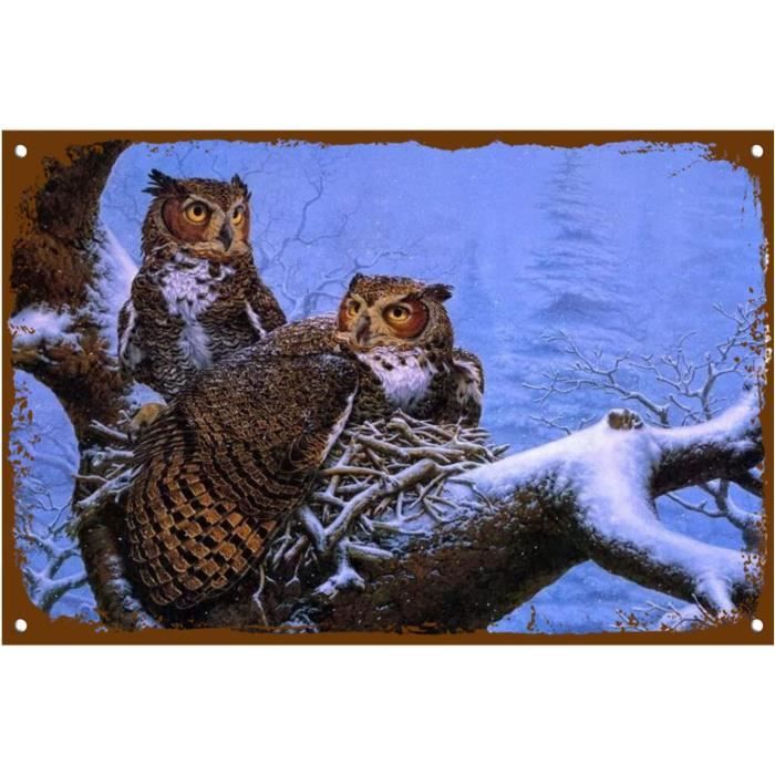 Décoration murale - Métal Vintage Sign Plaque - Hibou Oiseau Animal ...