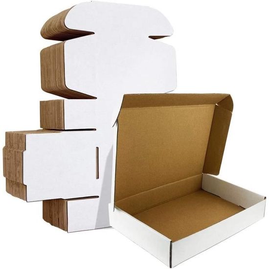 Carton Emballage Colis 305x229x76 MM Lot de 20, Petite Boîte Carton d ...