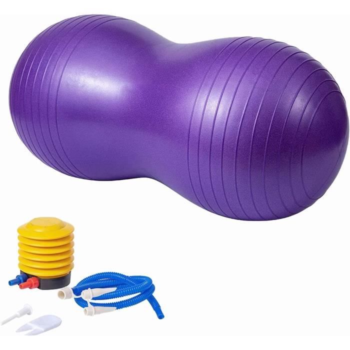 Ballon d'exercice avec Pompe,Ballon de Fitness,Ballon pour Yoga,Pilates ...