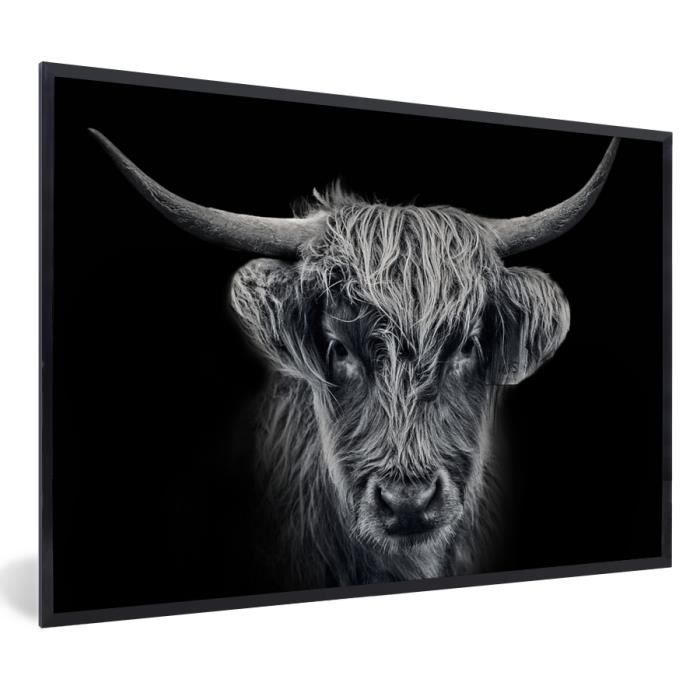 Cadre Photo - MuchoWow - Paysage - 30x20 cm - Highlander écossais Vache ...