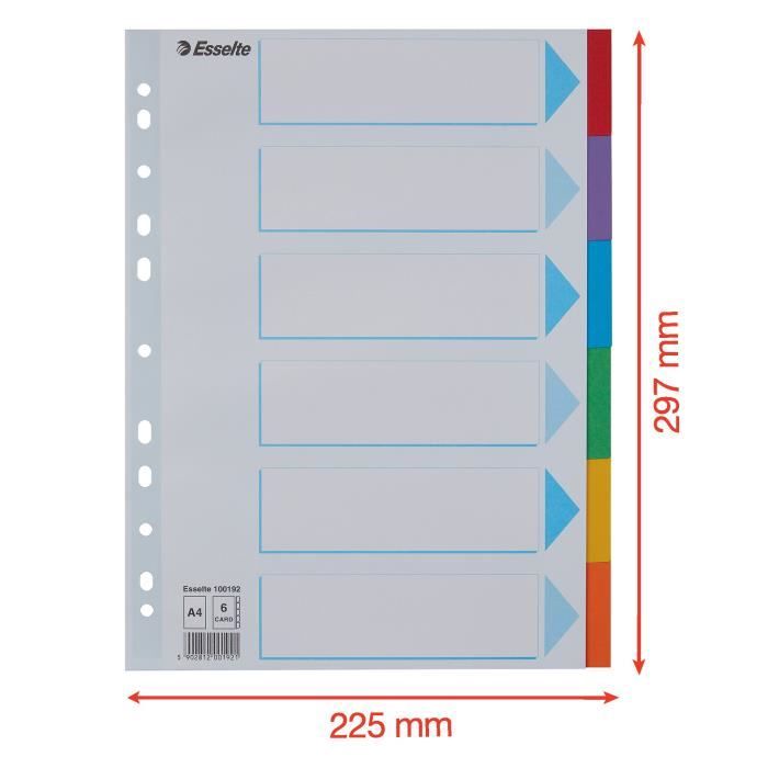 Intercalaire A4 - Esselte - 6 touches - Carton résistant 160g/m² ...