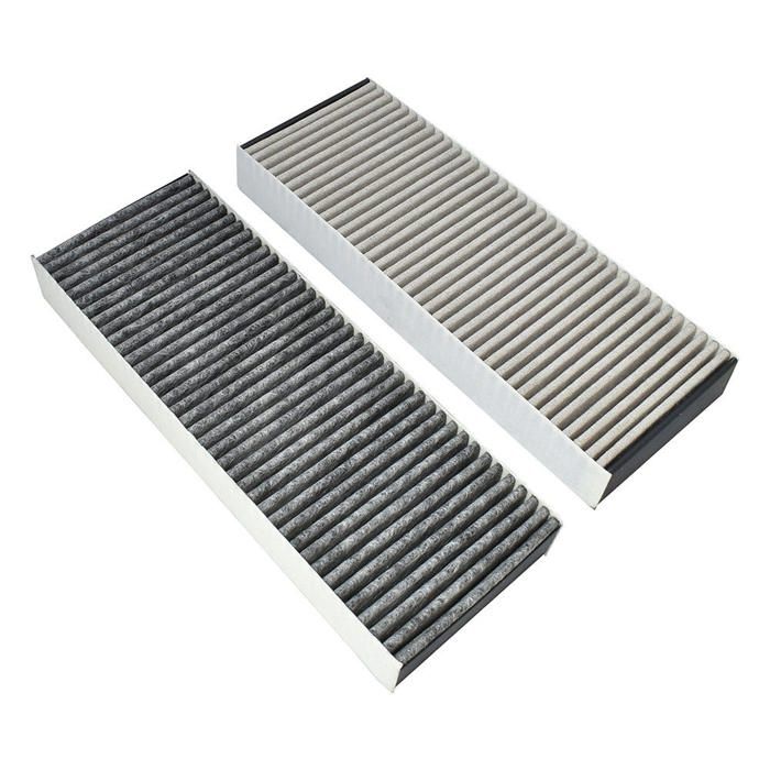 Filtre à charbon sans anti-odeur de poisson (2pcs) pour Bora Basic ...