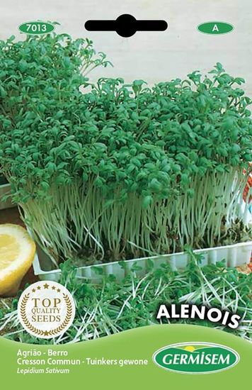 Graines Cresson Commun ALENOIS.[Q421] - Cdiscount Jardin