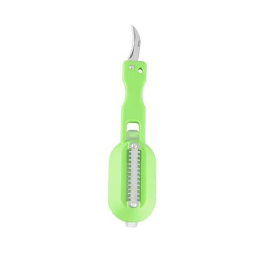 Grattoir à écailles de poisson de cuisine, brosse pour la peau ...