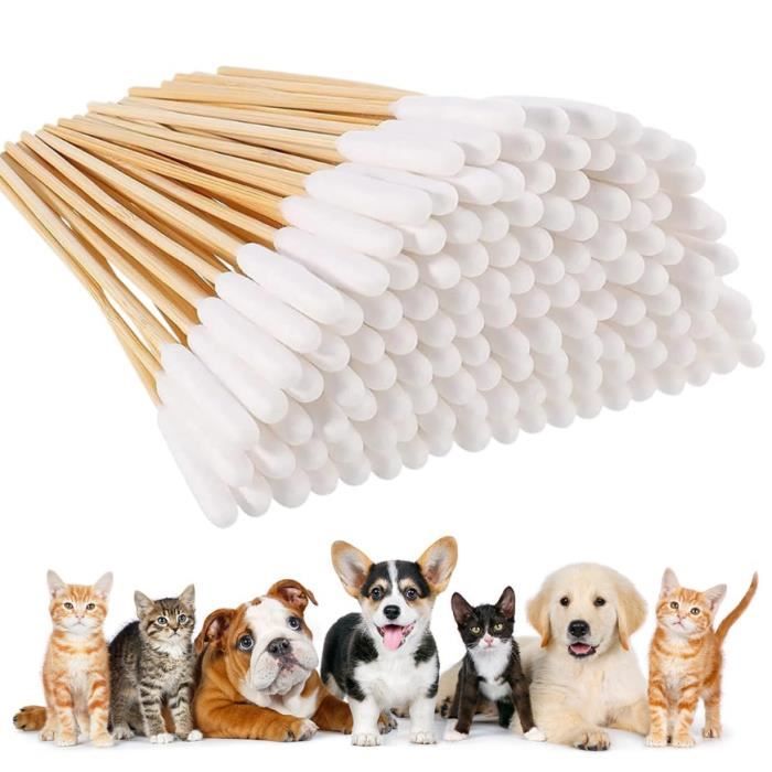 100 Pc petits chiens Coton Tige,Long Coton Tige Animaux Coton Tige pour ...